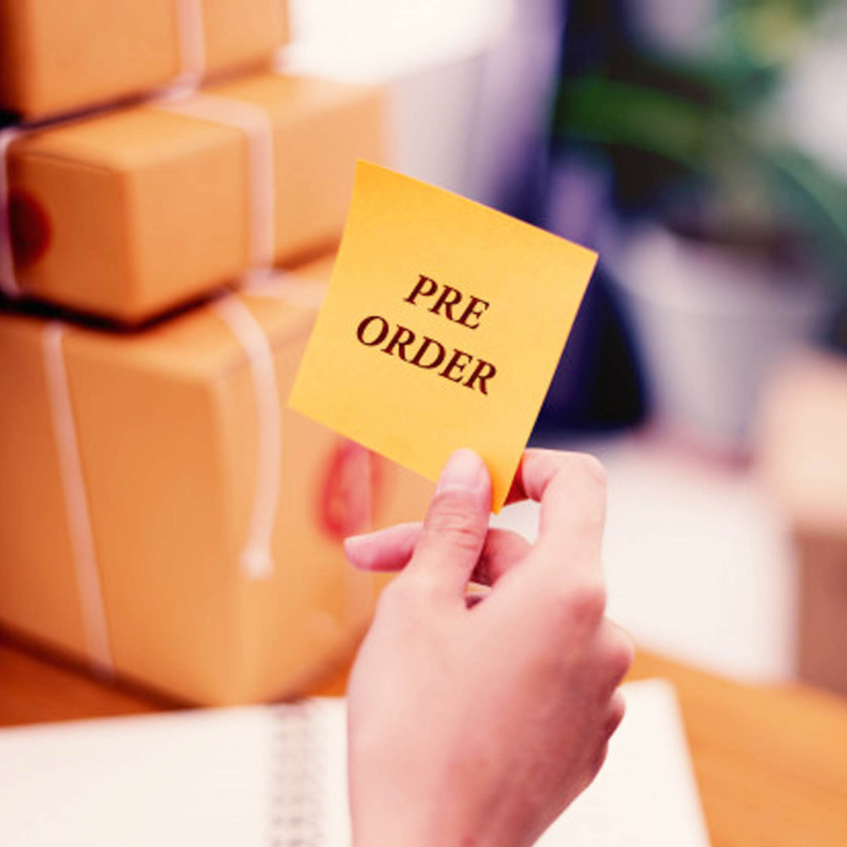 Pre-Order | Asters Maldives