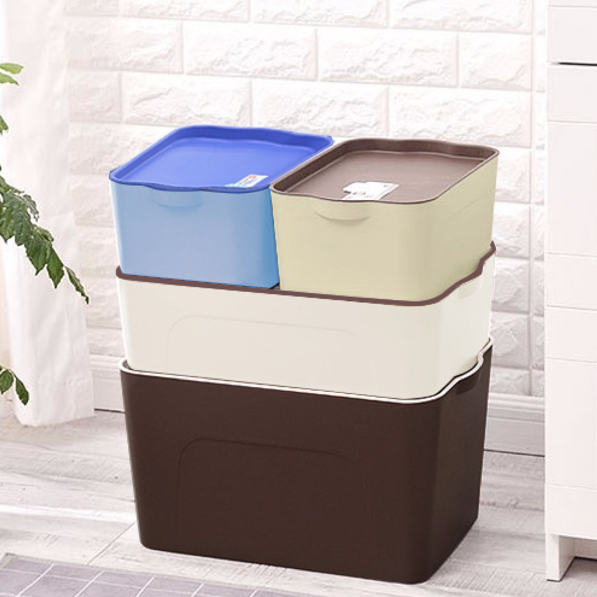 Decor / Organise | Asters Maldives