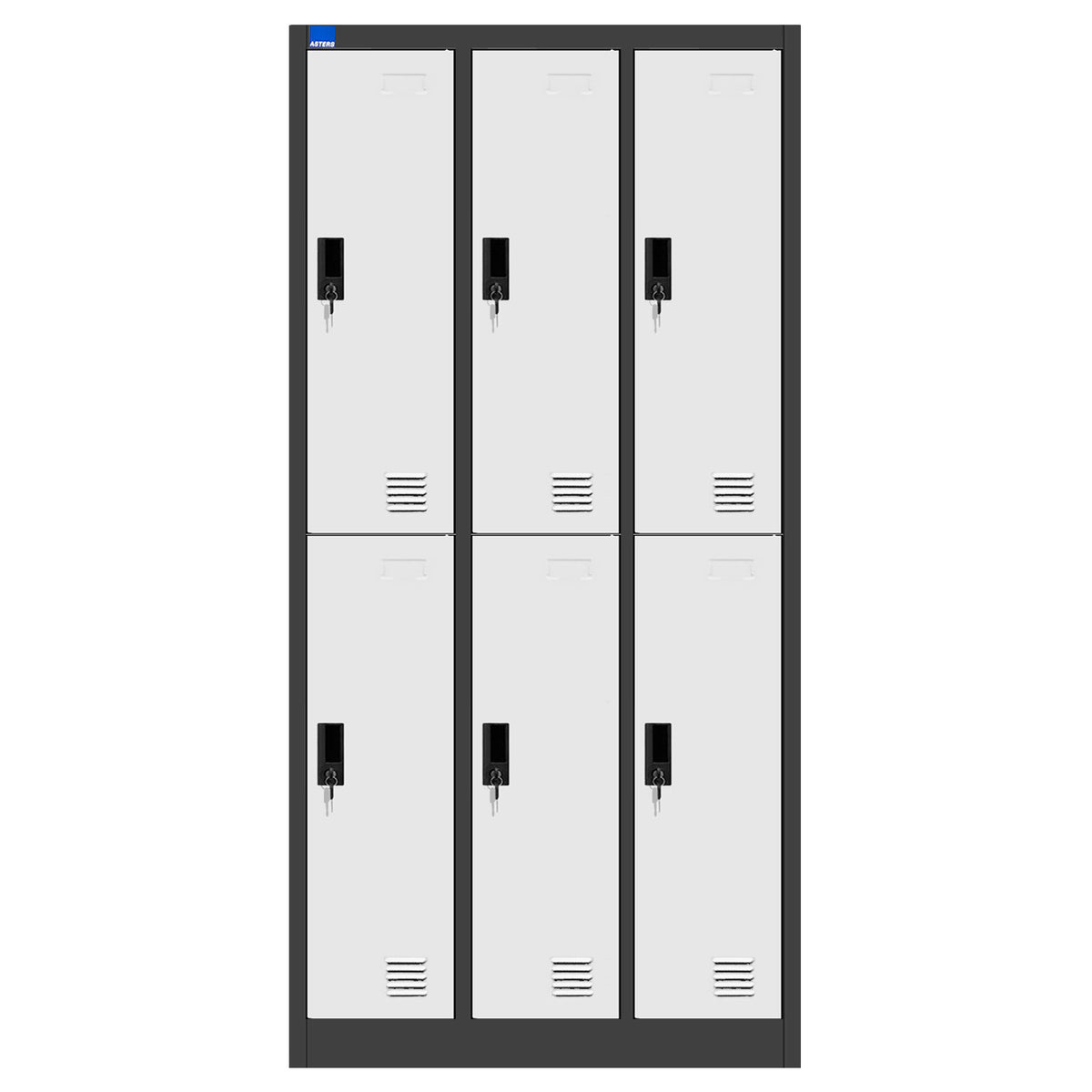 Asters (CC-C6) Steel 6 Comp. Locker with Key Lock, Black/White– Asters ...